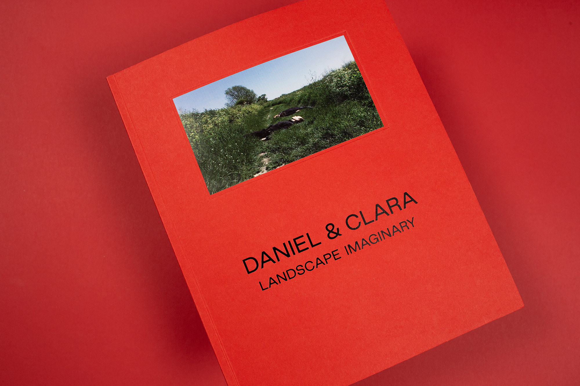 Design Print Bind — DANIEL & CLARA, Landscape Imaginary